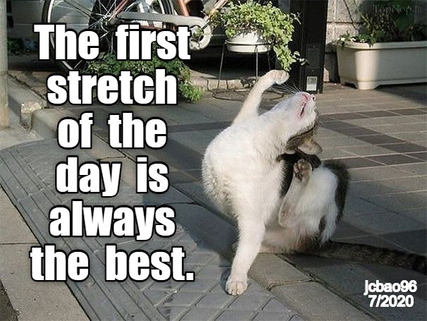 GREAT WAY TO START THE DAY - Lolcats - lol | cat memes | funny cats ...