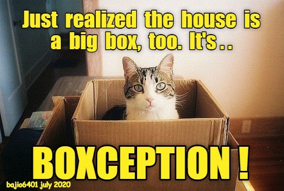 IT'S ALL BOXES! - Lolcats - lol | cat memes | funny cats | funny cat ...