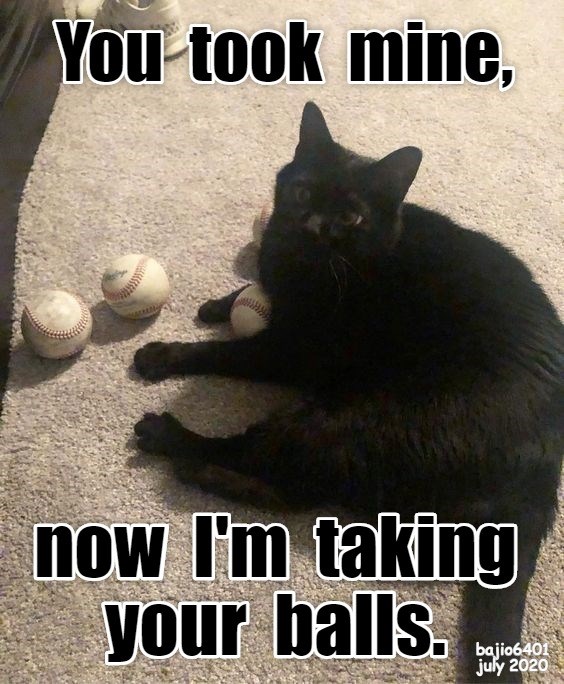 FAIR'S FAIR - Lolcats - lol | cat memes | funny cats | funny cat ...