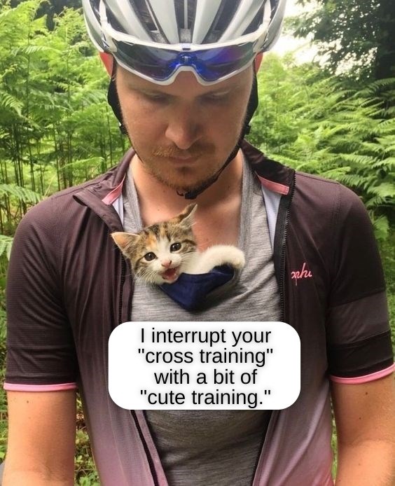 Lighten up - Lolcats - lol | cat memes | funny cats | funny cat ...