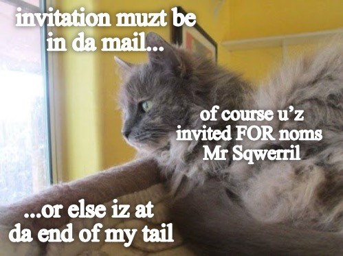 Invitation Must Be In Da Mail - Lolcats - lol | cat memes | funny cats ...