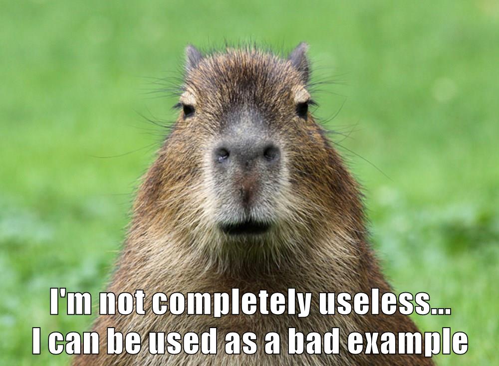 I'm not completely useless... I can be used as a bad example - Animal ...