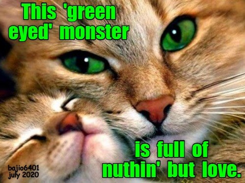 NOT ALL GREEN-EYED MONSTERS ARE MONSTERS - Lolcats - lol | cat memes ...
