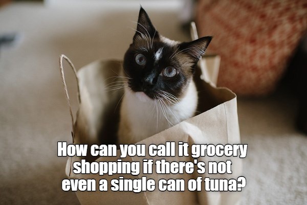 How can you call it grocery shopping? - Lolcats - lol | cat memes ...