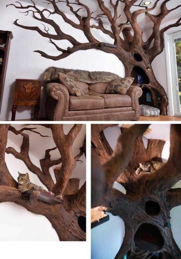 Best. Cat Tree. Ever. - Cats N' Kittens - Cat Pictures - Cute Kittens
