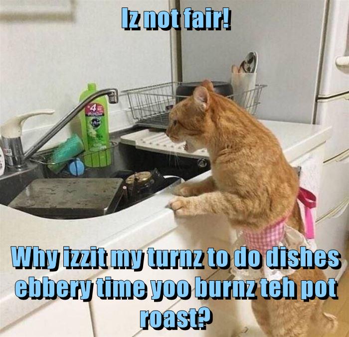 Iz not fair! - Lolcats - lol | cat memes | funny cats | funny cat ...