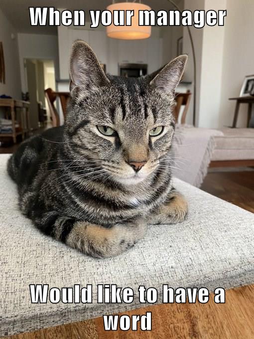 Word - Lolcats - lol | cat memes | funny cats | funny cat pictures with ...