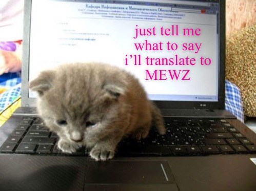 Language Translation: Another Kitteh Gift - Lolcats - lol | cat memes ...
