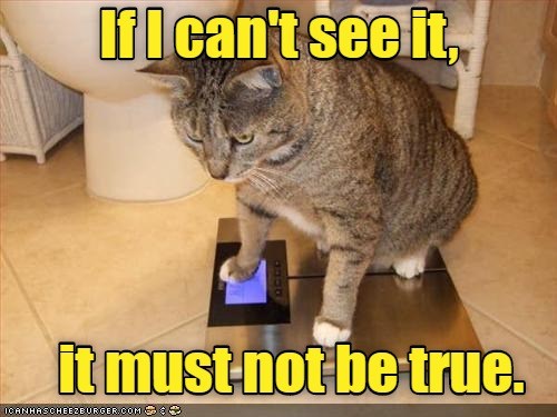 Just weight - Lolcats - lol | cat memes | funny cats | funny cat ...