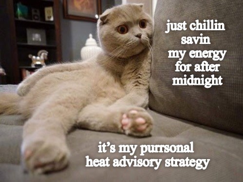 Hot Out? - Lolcats - lol | cat memes | funny cats | funny cat pictures ...