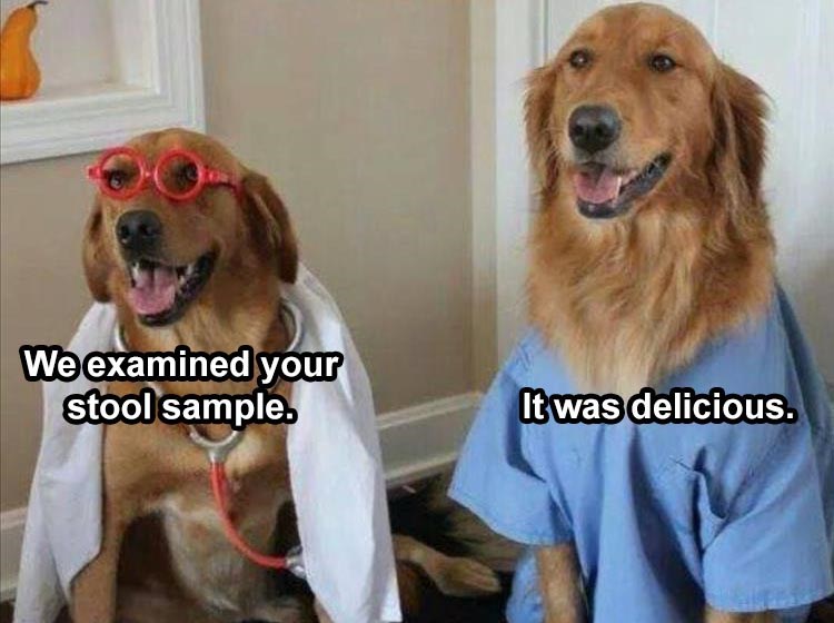 It was delicious - I Can Has Cheezburger?