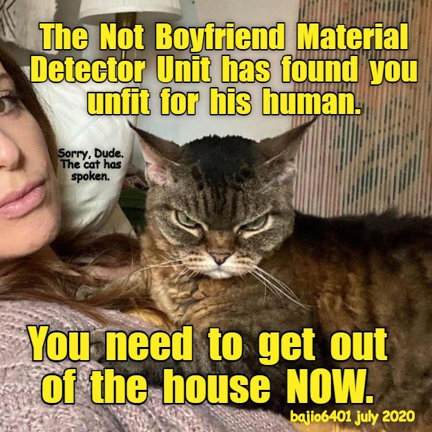 RUNNING AS FAST AS YOU CAN WOULD BE GOOD - Lolcats - lol | cat memes ...