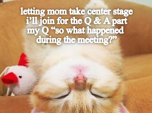 Mommy’s fascinating zoomy office meeting - Lolcats - lol | cat memes ...