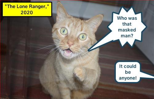 "The Lone Ranger," 2020 - Lolcats - lol | cat memes | funny cats ...