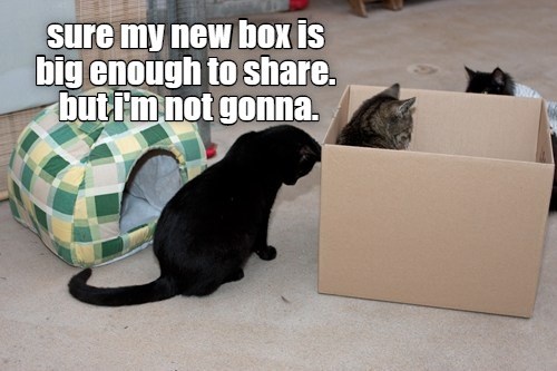 It's mine alone! - Lolcats - lol | cat memes | funny cats | funny cat ...