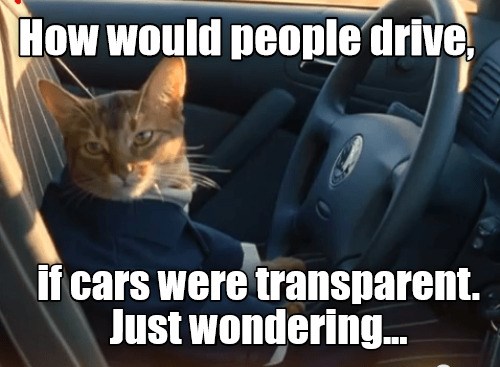 Err... right... TOOO FAST!!! SLOW DOWN!! AAAAARGHHH! - Lolcats - lol ...