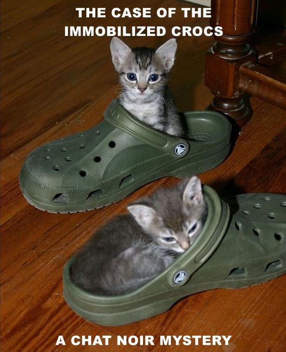 THE CASE OF THE IMMOBILIZED CROCS - Lolcats - lol | cat memes | funny ...