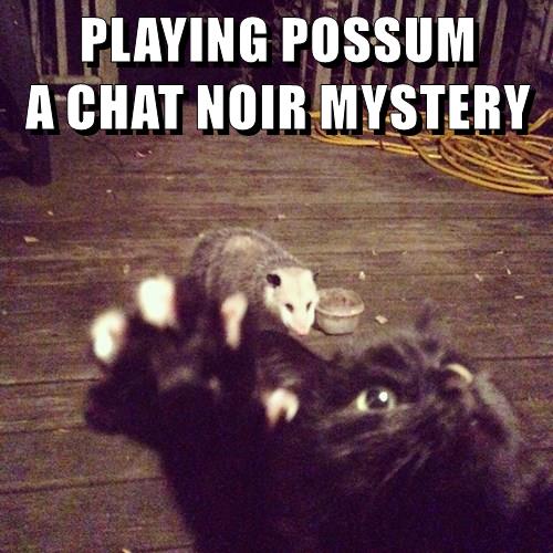 PLAYING POSSUM - Lolcats - lol | cat memes | funny cats | funny cat pictures with words on them ...