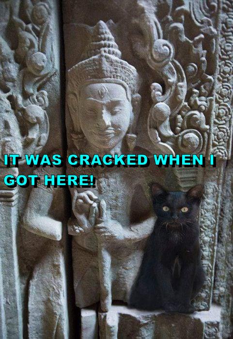 IT WAS CRACKED WHEN I GOT HERE! - Lolcats - lol | cat memes | funny ...