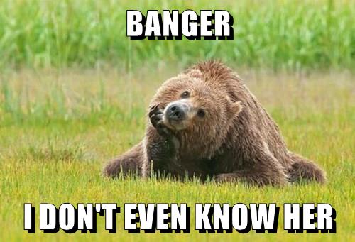 BANGER - Animal Comedy - Animal Comedy, funny animals, animal gifs