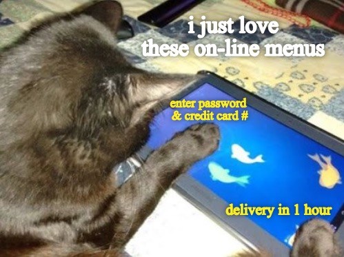 MA, I NEED OUR PASSWORD & CREDIT CARD # - Lolcats - lol | cat memes ...