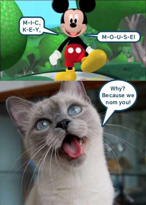 Mickey Munch - Lolcats - lol | cat memes | funny cats | funny cat ...