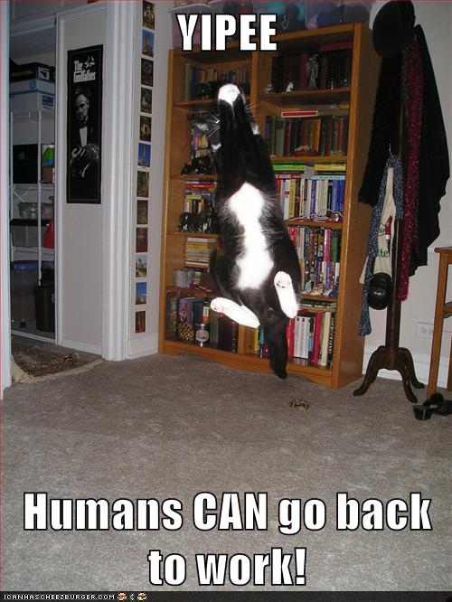 YIPEE - Lolcats - lol | cat memes | funny cats | funny cat pictures ...