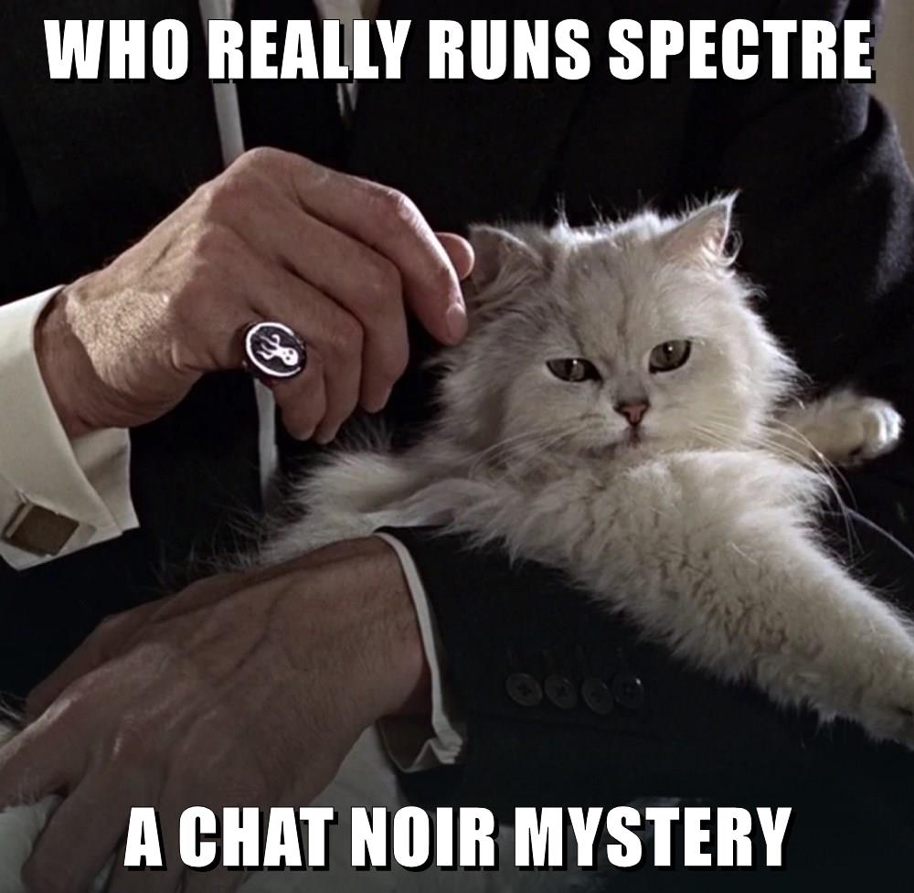 WHO REALLY RUNS SPECTRE - Lolcats - lol | cat memes | funny cats ...