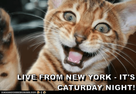LIVE FROM NEW YORK - IT'S CATURDAY NIGHT! - Lolcats - lol | cat memes ...