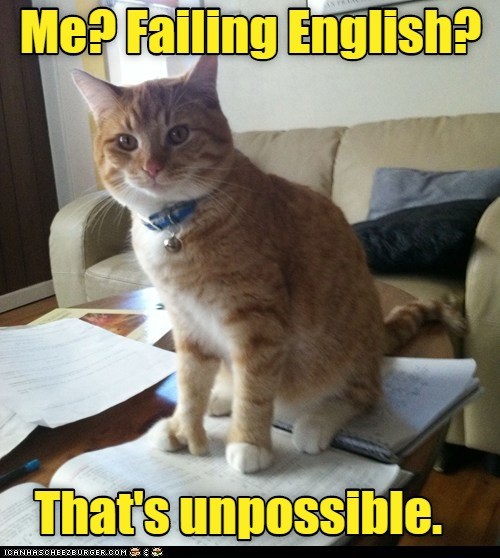 I talk gooder than you. - Lolcats - lol | cat memes | funny cats ...