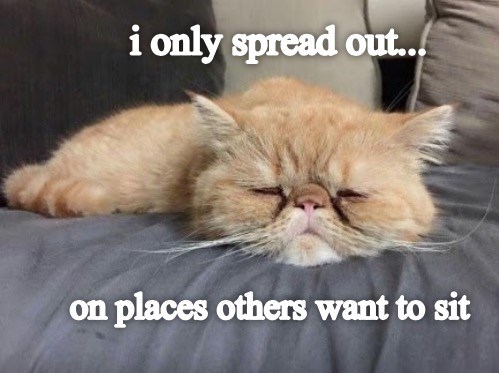 Supply & Demand: The Feline View - Lolcats - lol | cat memes | funny ...