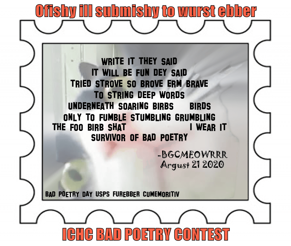 ICHC BAD POETRY CONTEST - Lolcats - lol | cat memes | funny cats ...