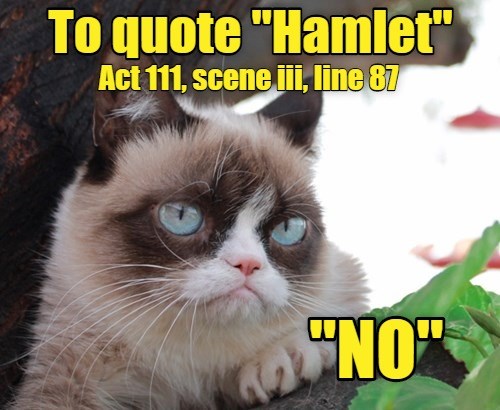 Everyone knows a little Shakespeare - Lolcats - lol | cat memes | funny ...