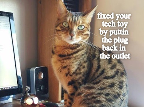 Family World Class Tech Master - Lolcats - lol | cat memes | funny cats ...