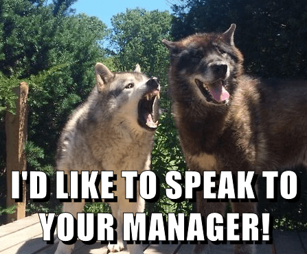 I'D LIKE TO SPEAK TO YOUR MANAGER! - I Has A Hotdog - Dog Pictures ...