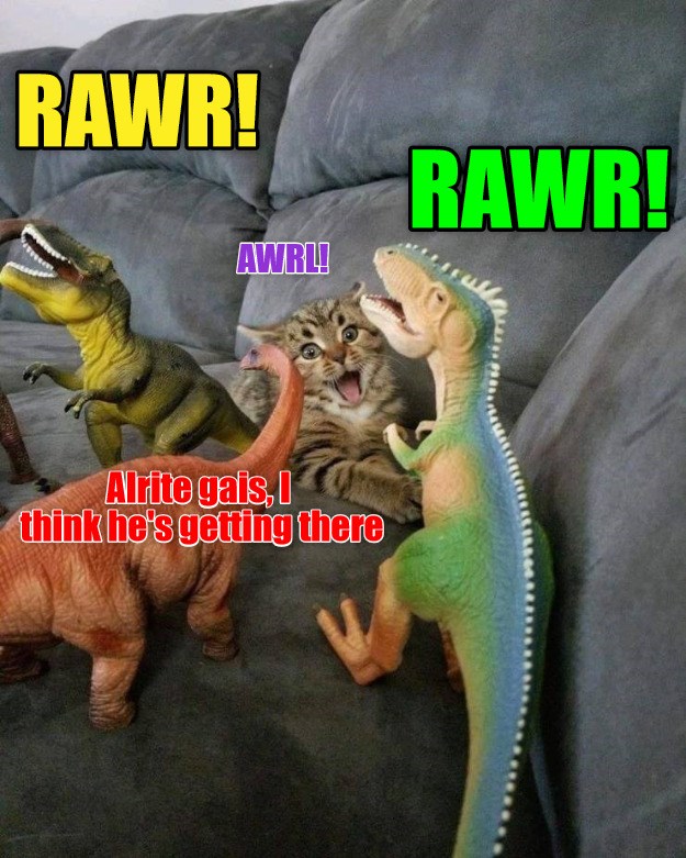 How to saurus - Lolcats - lol | cat memes | funny cats | funny cat ...