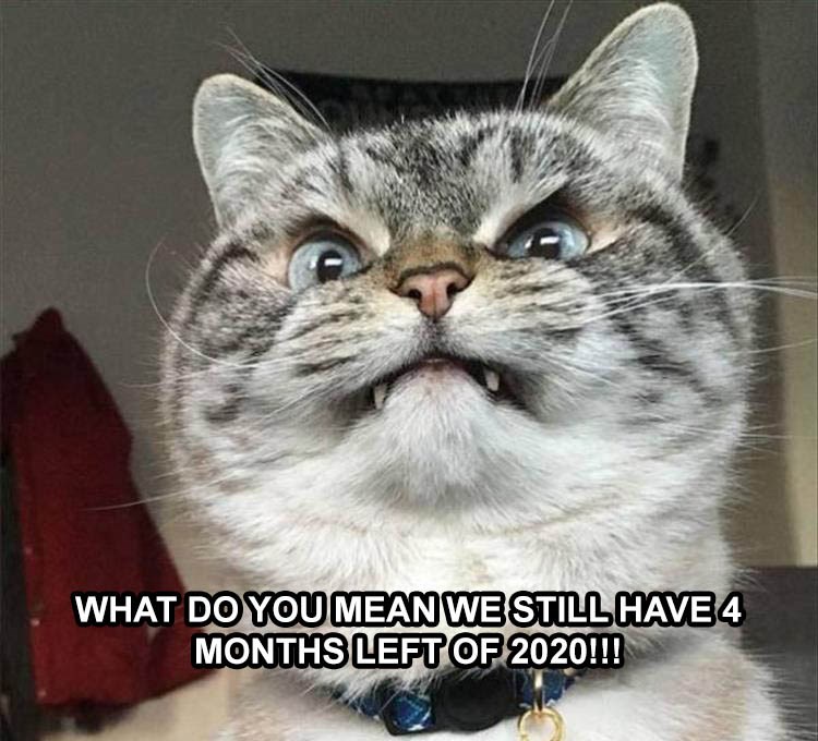 Ugh. - I Can Has Cheezburger?