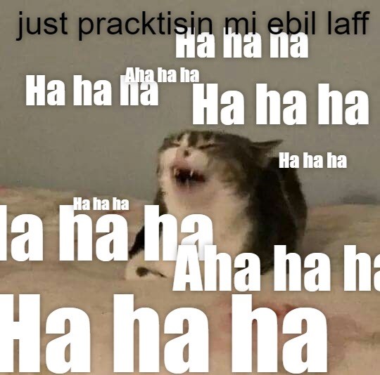 Ha ha ha - Lolcats - lol | cat memes | funny cats | funny cat pictures ...