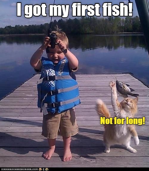You catch 'em, I'll eat 'em. - Lolcats - lol | cat memes | funny cats ...