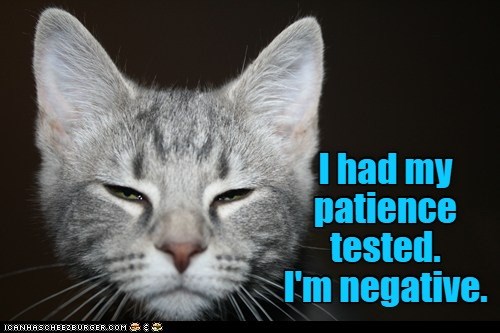 In a very positive manner. - Lolcats - lol | cat memes | funny cats ...
