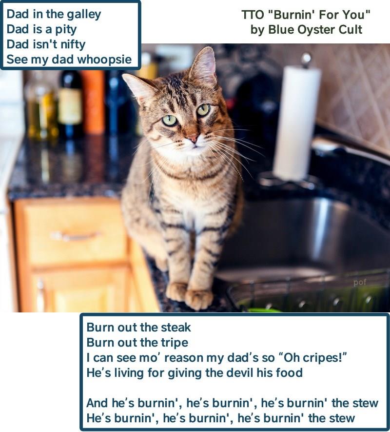 TTO "Burnin' For You" by Blue Oyster Cult - Lolcats - lol | cat memes ...