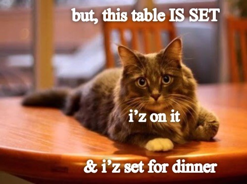 You Can’t “Set The Table For Dinner?...” - Lolcats - lol | cat memes ...