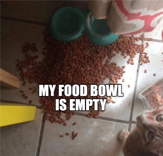 MY FOOD BOWL IS EMPTY - Lolcats - lol | cat memes | funny cats | funny ...