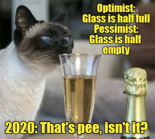 Letz try teh sniff test... - Lolcats - lol | cat memes | funny cats ...