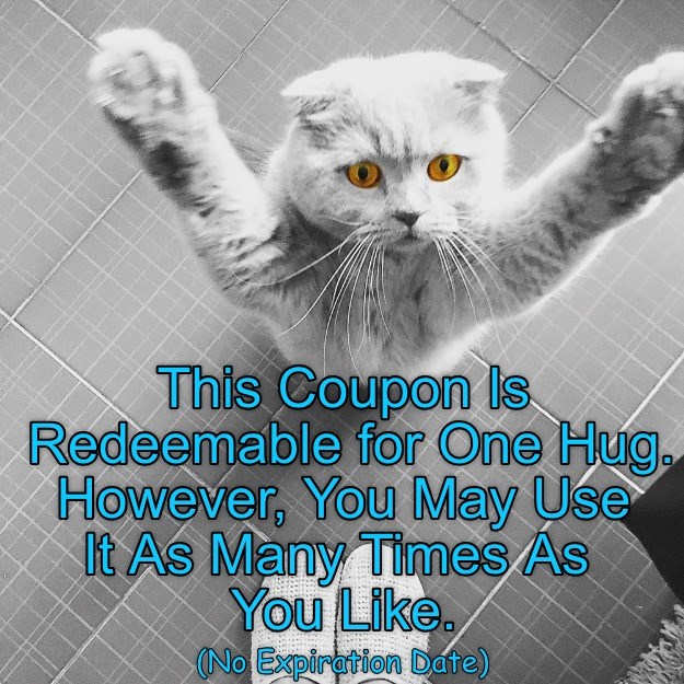 Hug Coupon - Lolcats - lol | cat memes | funny cats | funny cat ...
