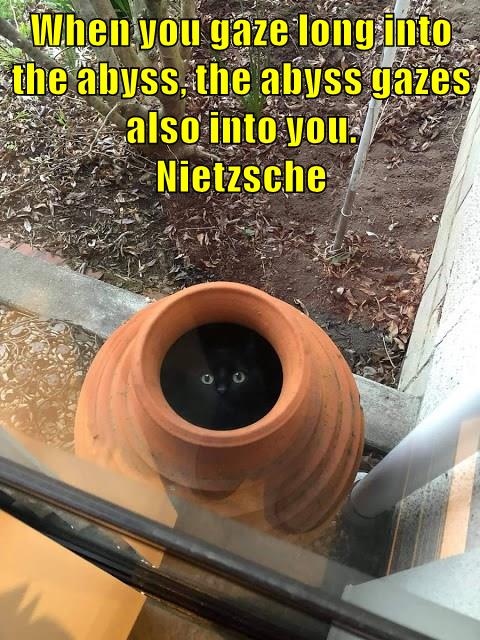 When you gaze long into the abyss, the abyss gazes also into you ...