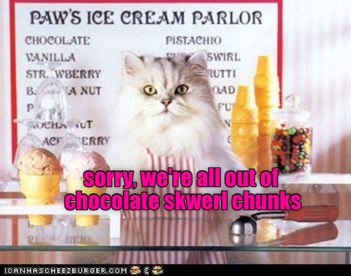 sorry, we're all out of chocolate skwerl chunks - Lolcats - lol | cat ...