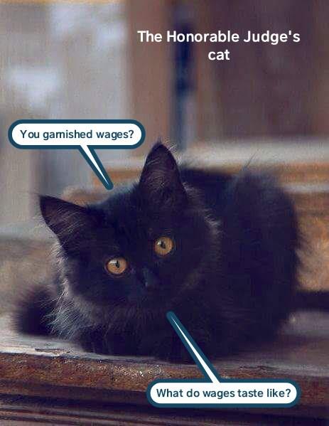 The Honorable Judge's cat - Lolcats - lol | cat memes | funny cats ...