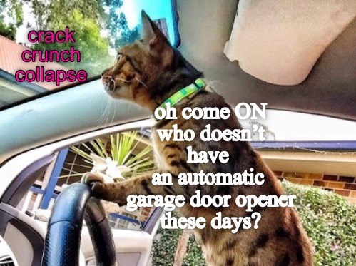 Good Question BEFORE You Hit The Gas Pedal - Lolcats - lol | cat memes ...