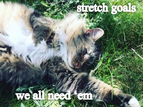 Stretch Goals - Lolcats - lol | cat memes | funny cats | funny cat ...